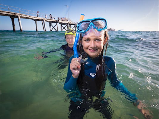 Port Noarlunga Reef Sanctuary Zone - Encounter Marine Park - Port...
