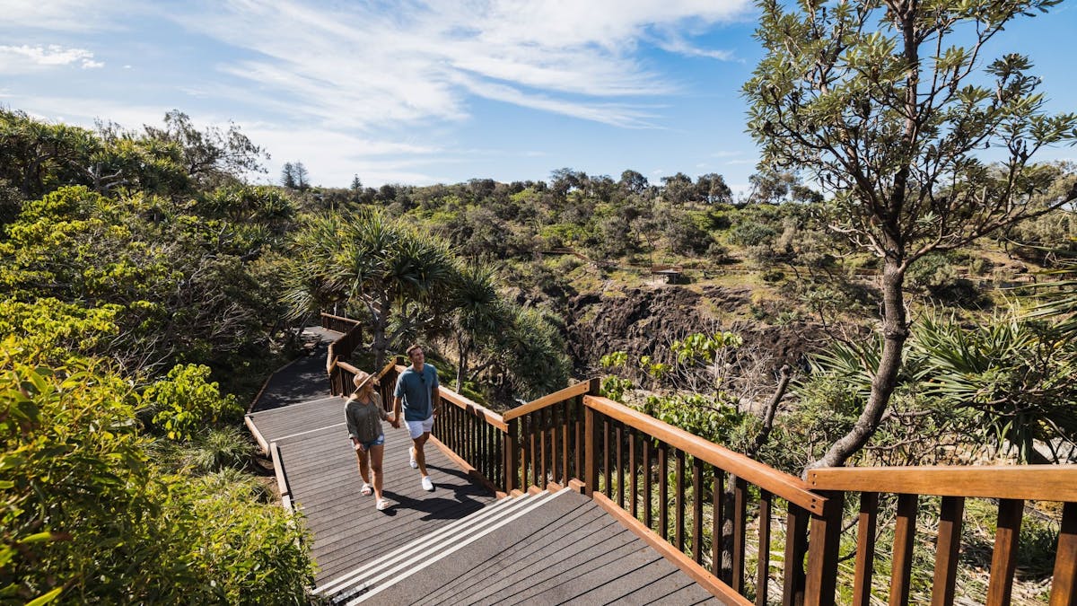 North Gorge Walk Point Lookout | Journeys | Queensland