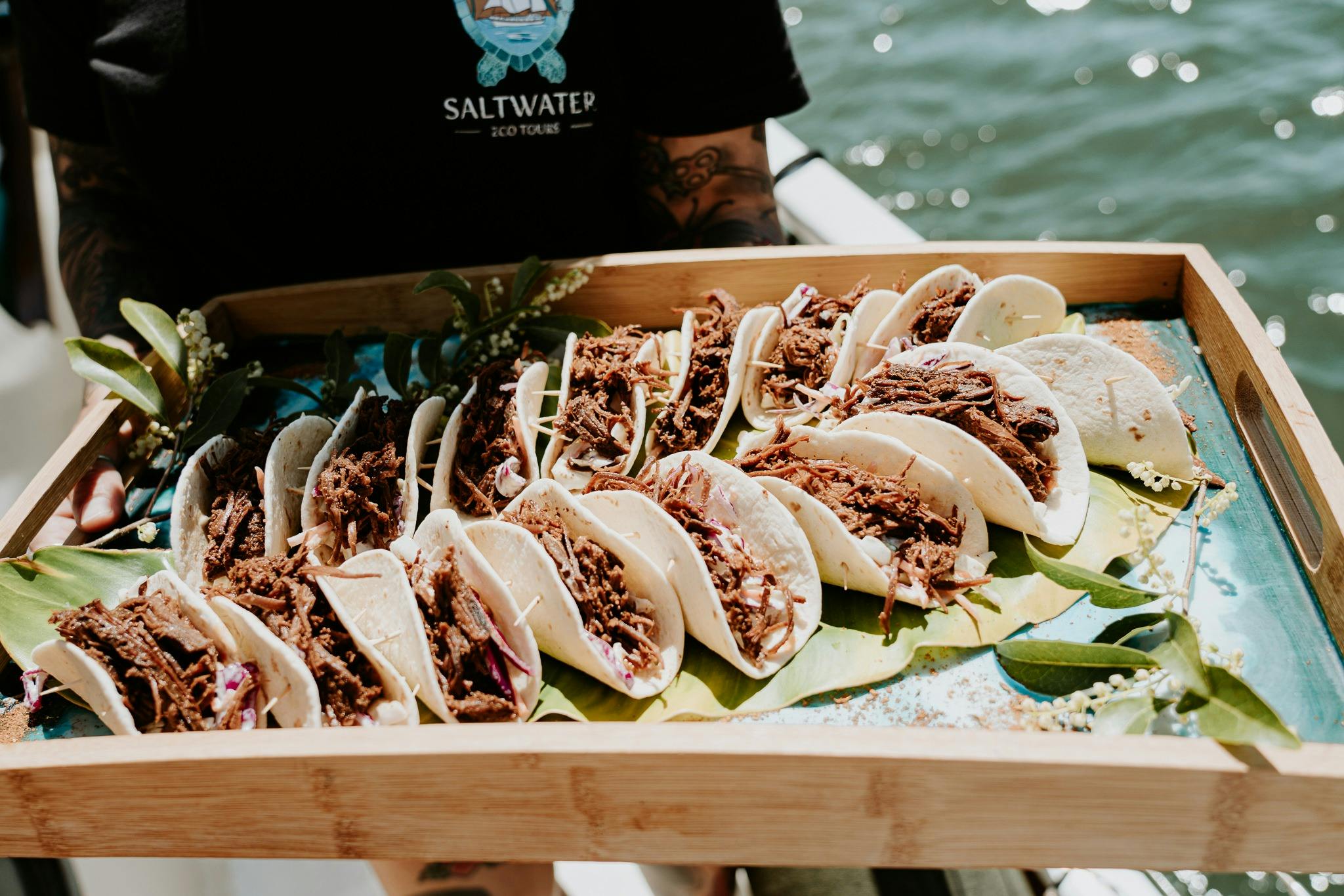 Saltwater Eco Tours | Tours | Queensland