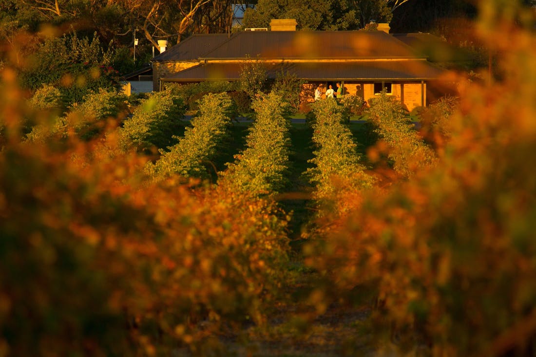 The Salopian Inn - McLaren Vale, | Tour Down Under