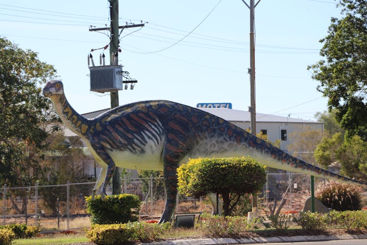 Drive North Queensland | Hughenden