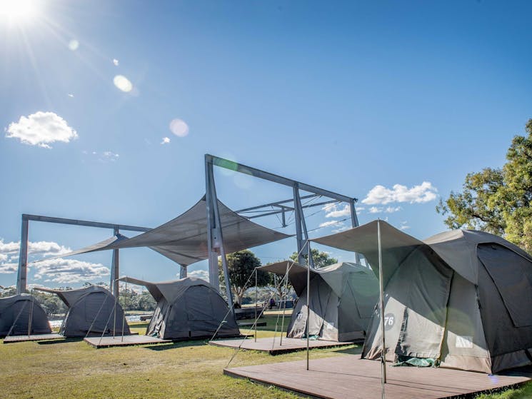 Cockatoo Island Waterfront Camping Sydney Australia Official