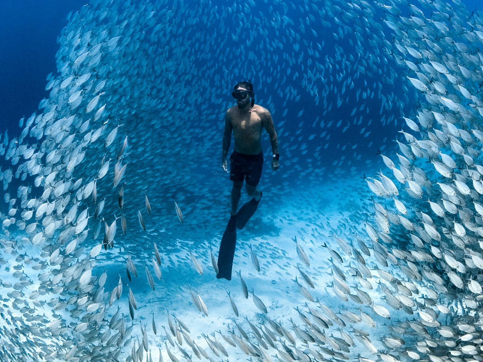 Darwin & Surrounds | Northern Territory, Australia