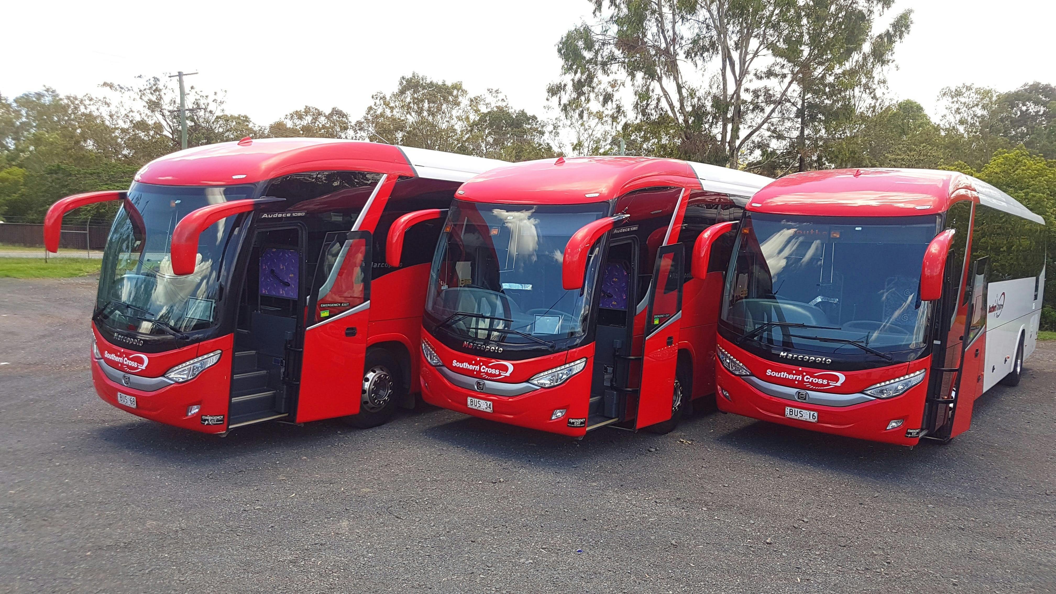 Southern Cross Transit | Transport | Queensland