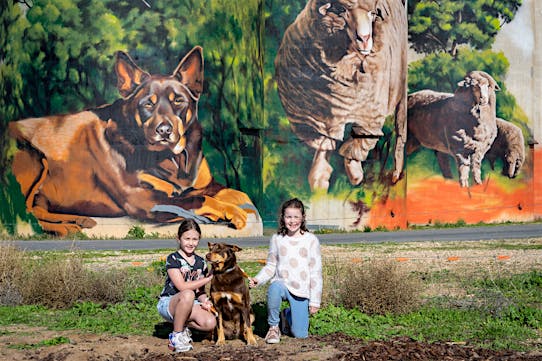 Karoonda Day & Night Silo Art - Karoonda, Attraction | South Australia