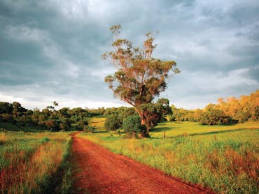 Top Things to Do In Toowoomba - Activities and Tours | Queensland