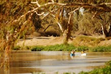 Innamincka Regional Reserve - Innamincka, Attraction | South Australia