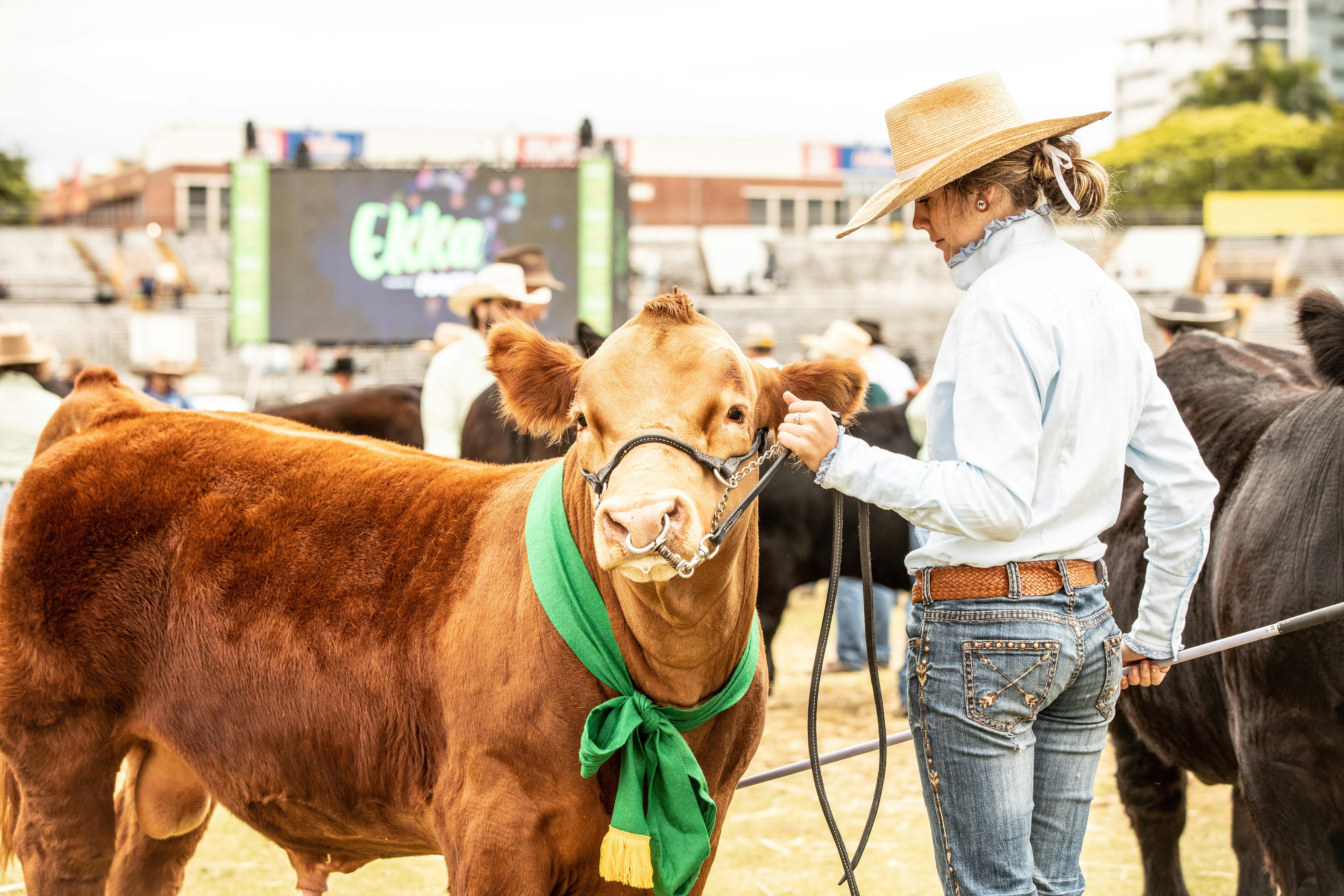 Royal Queensland Show (Ekka)