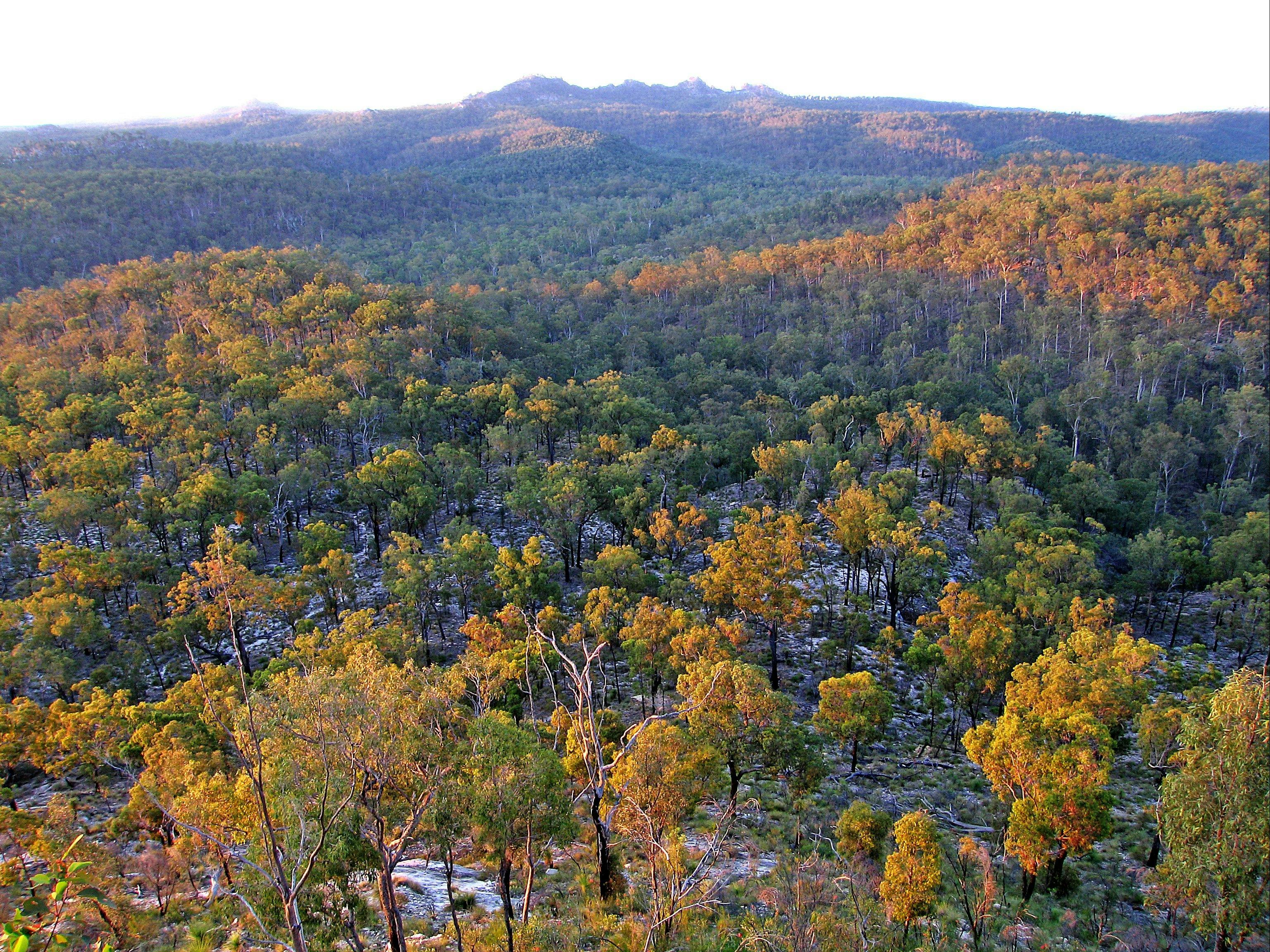 Isla Gorge National Park | Attractions | Queensland