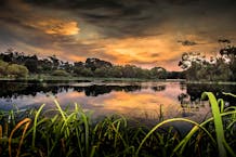 Lake McIntyre - Millicent, Attraction | South Australia