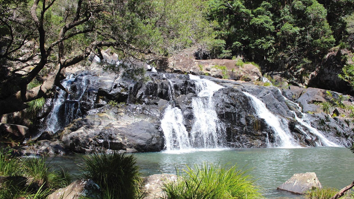 Booloumba Falls Walk Conondale National Park | Journeys | Queensland