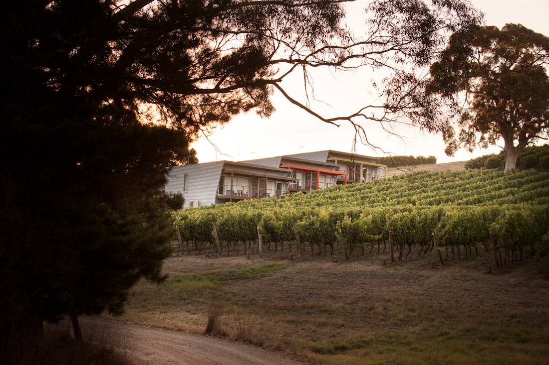 Longview Vineyard Accommodation, Vineyard Suite - Macclesfield, A...