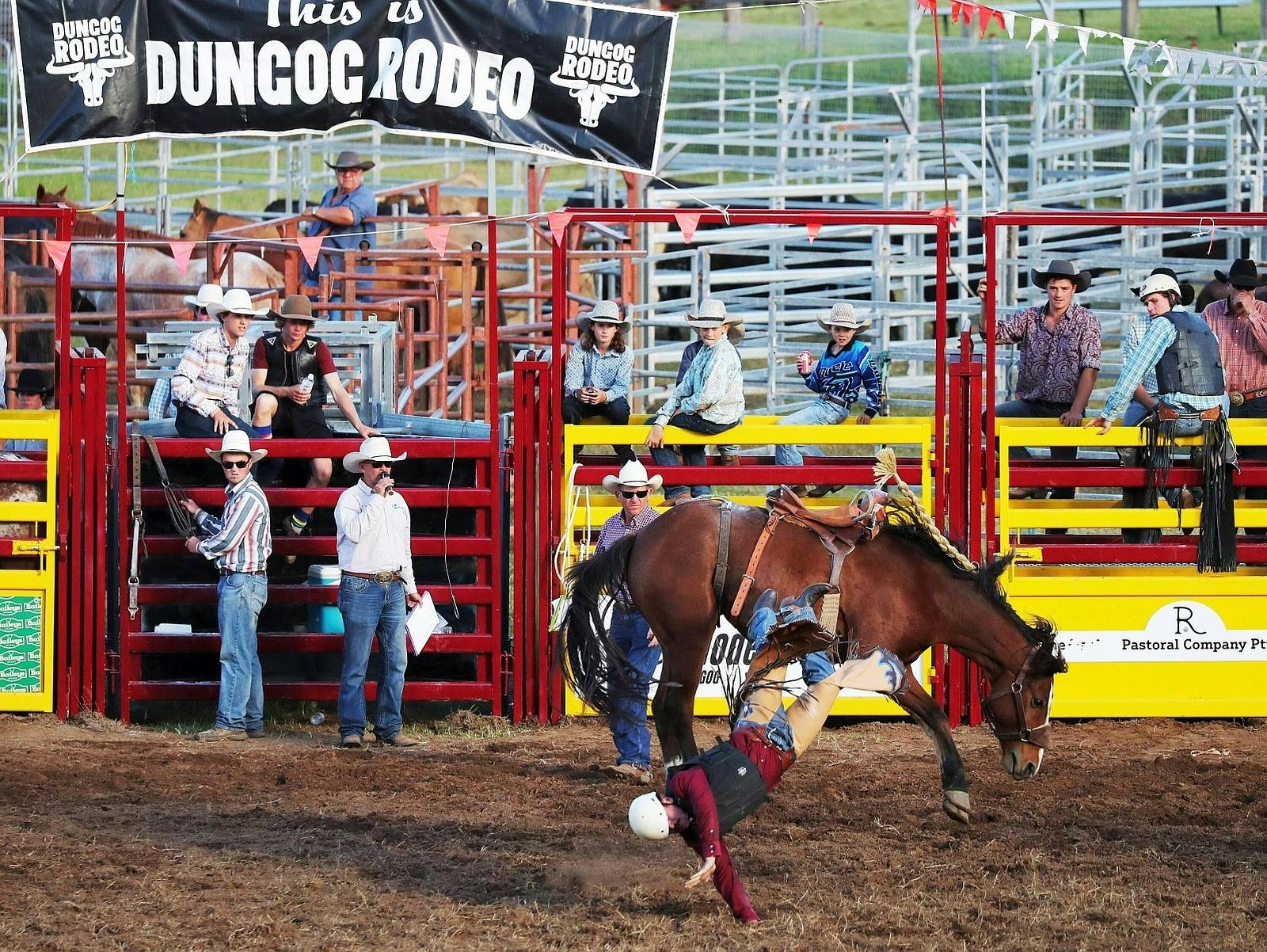 Dungog Rodeo | Events10