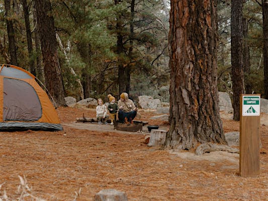 Mount Crawford Forest - Mount Crawford, Attraction | South Australia