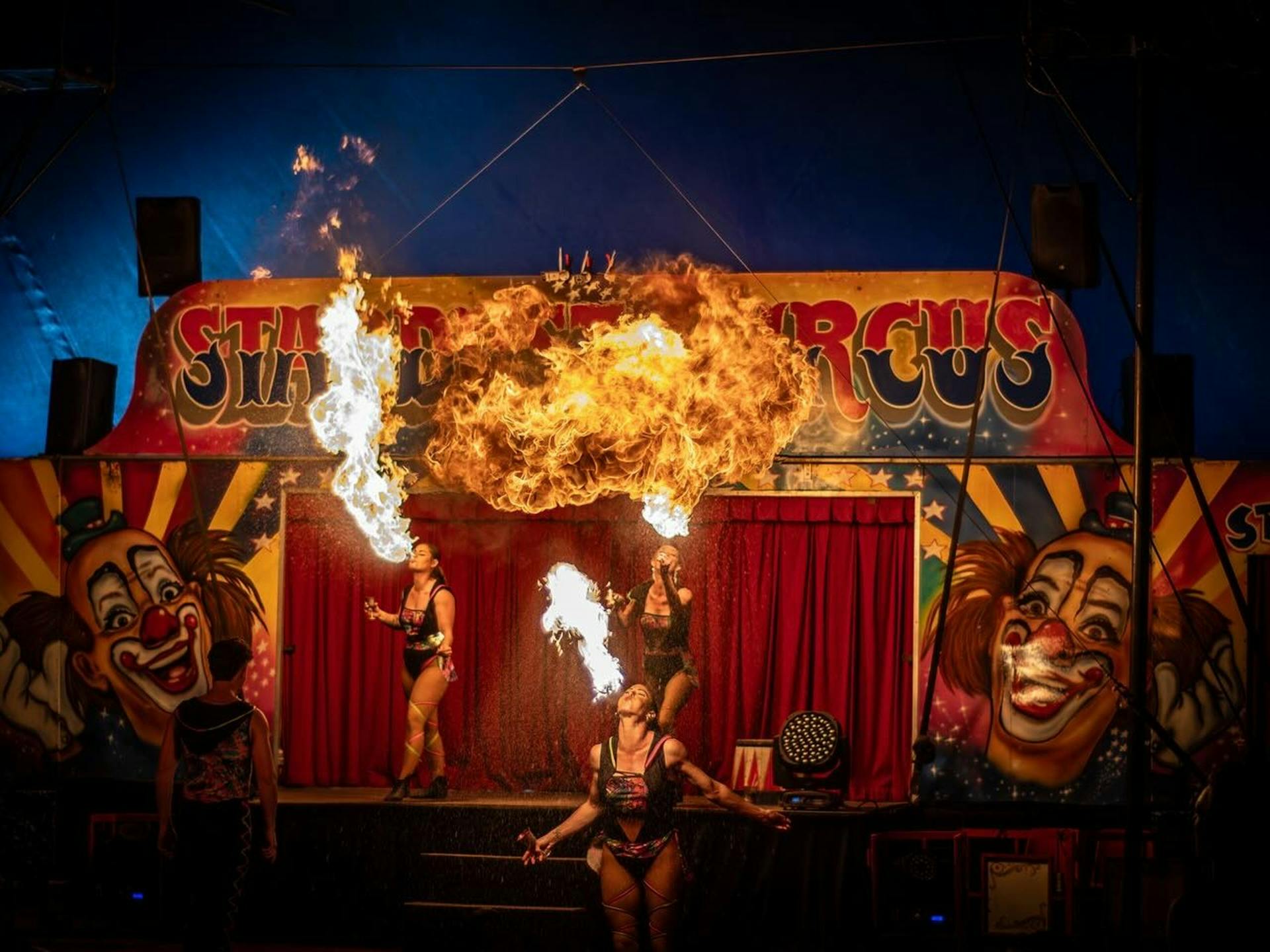 Stardust Circus in Camden - The Fold: Your Guide to Everything Regional ...