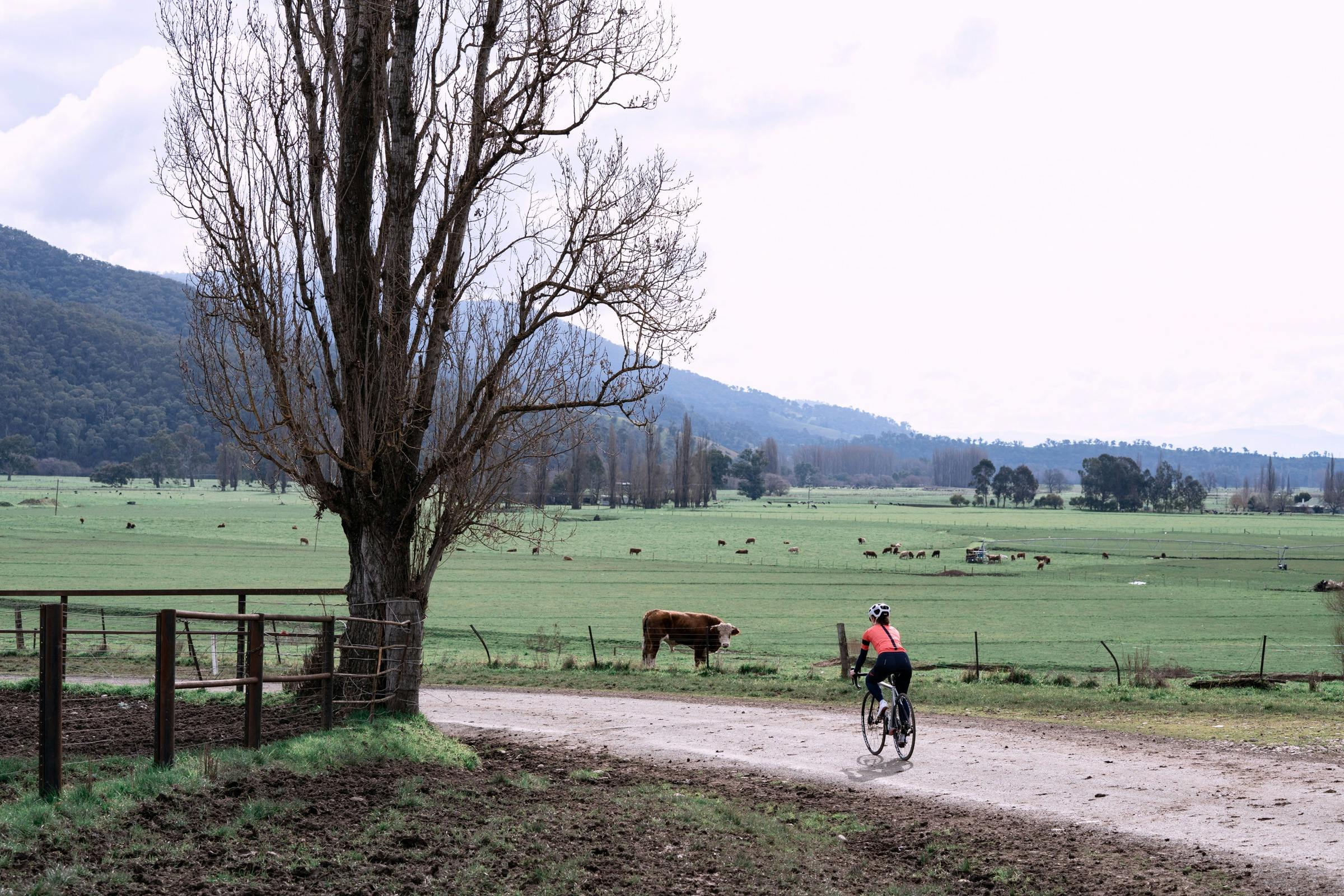 Corryong - Victoria's High Country