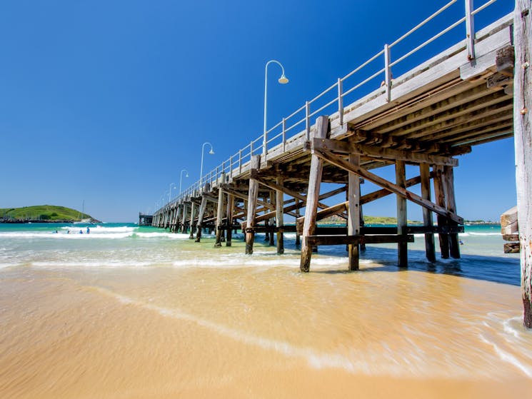 Jetty Beach | NSW Holidays & Accommodation, Things to Do, Attractions ... Jetty Beach | NSW Holidays & Accommodation, Things to Do, Attractions ...