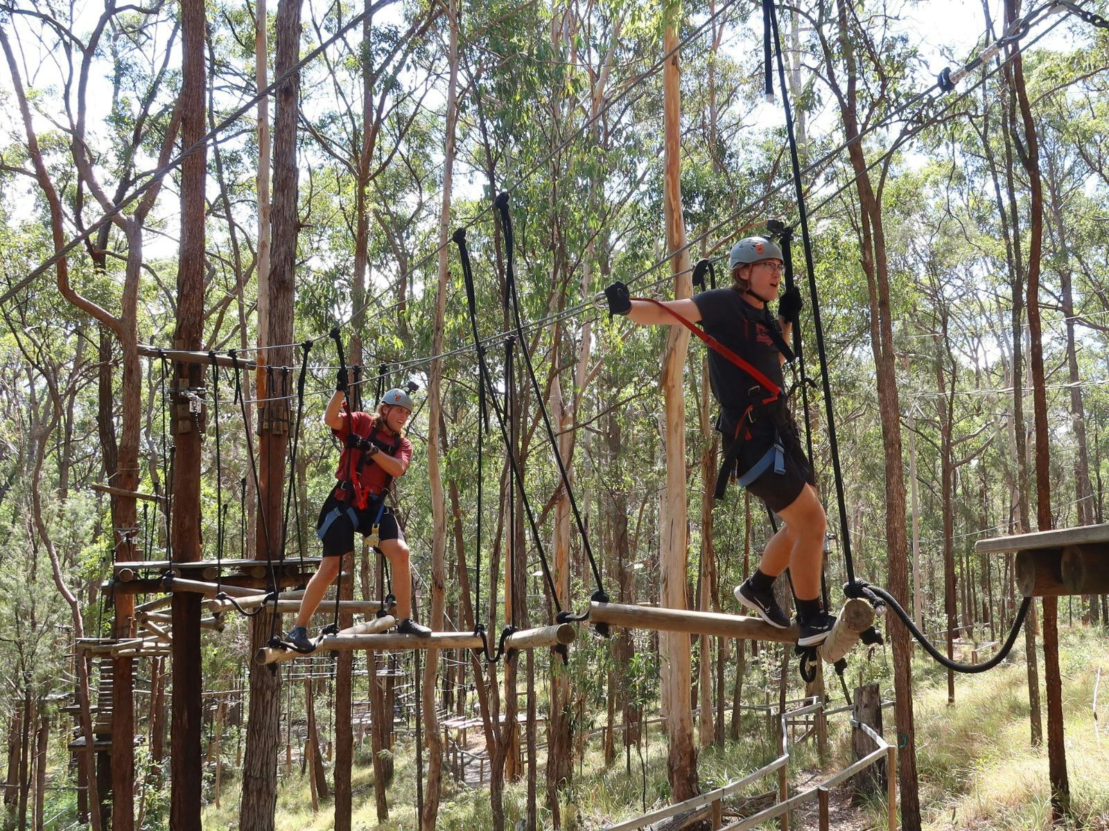 TreeTop Challenge - Mt Tamborine