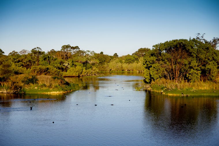 Lake McIntyre - Millicent, Attraction | SA Tourism