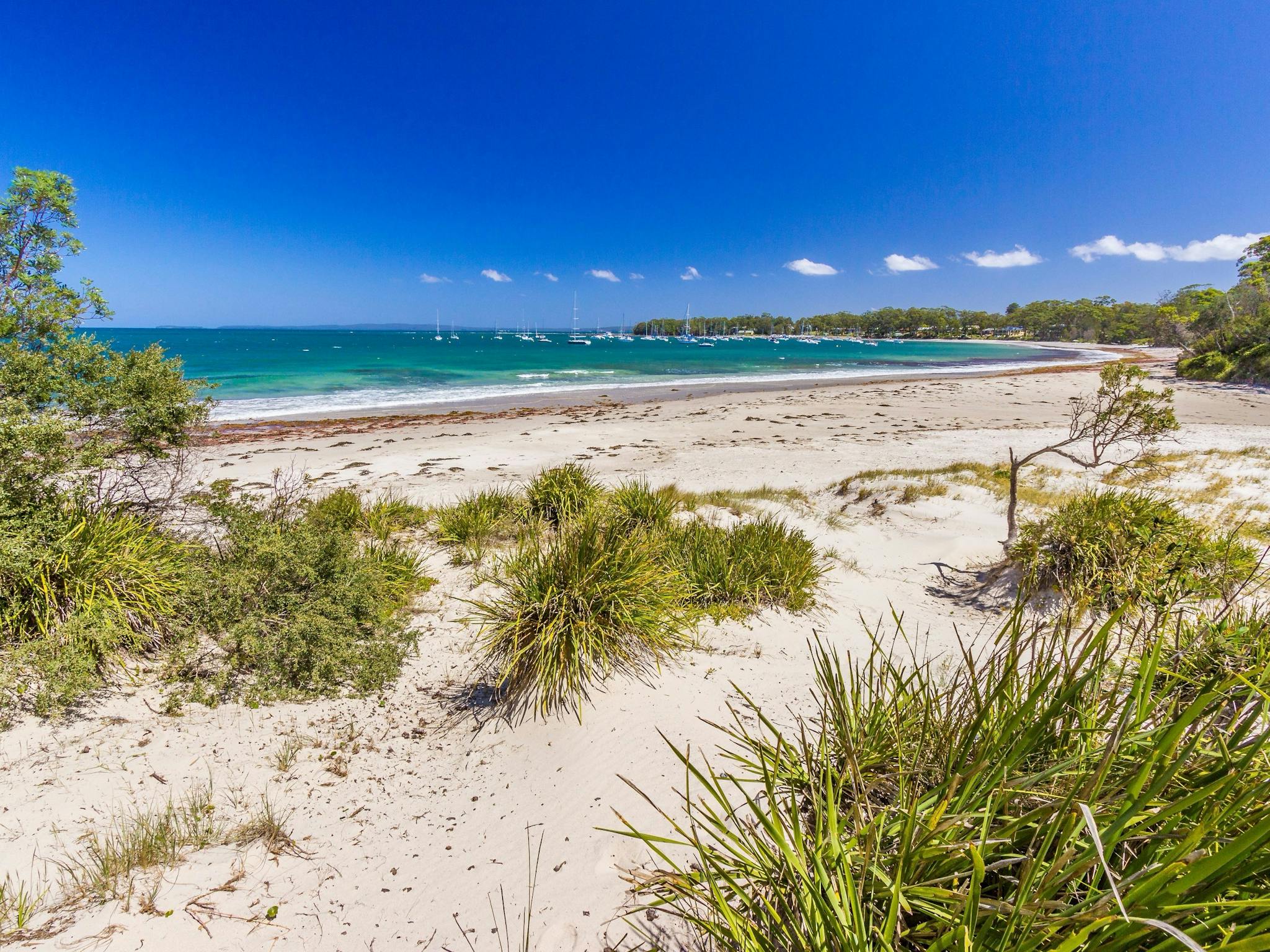 Callala Bay | NSW Holidays & Accommodation, Things to Do, Attractions ...