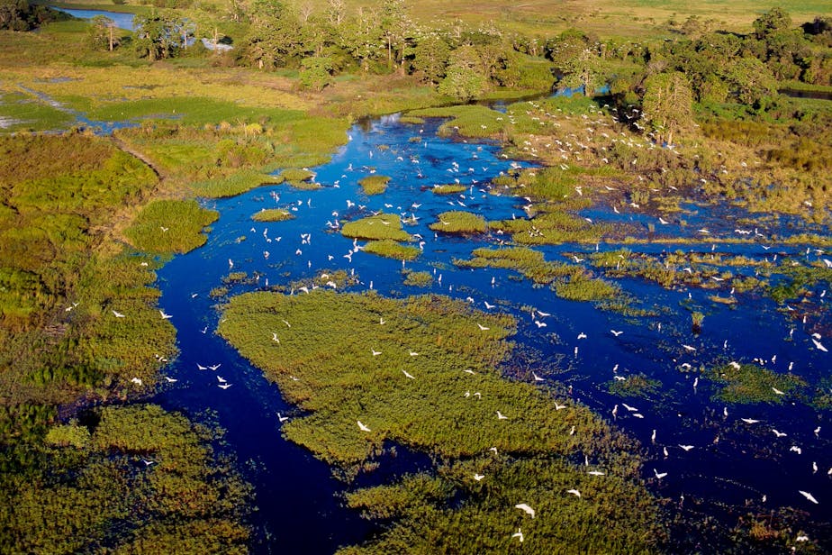 Aurukun | Cairns & Great Barrier Reef