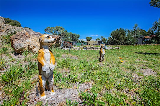 Naracoorte Tiny Train Park - Naracoorte, Attraction | South Australia