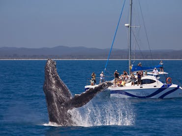 Inskip Point | Attractions | Queensland
