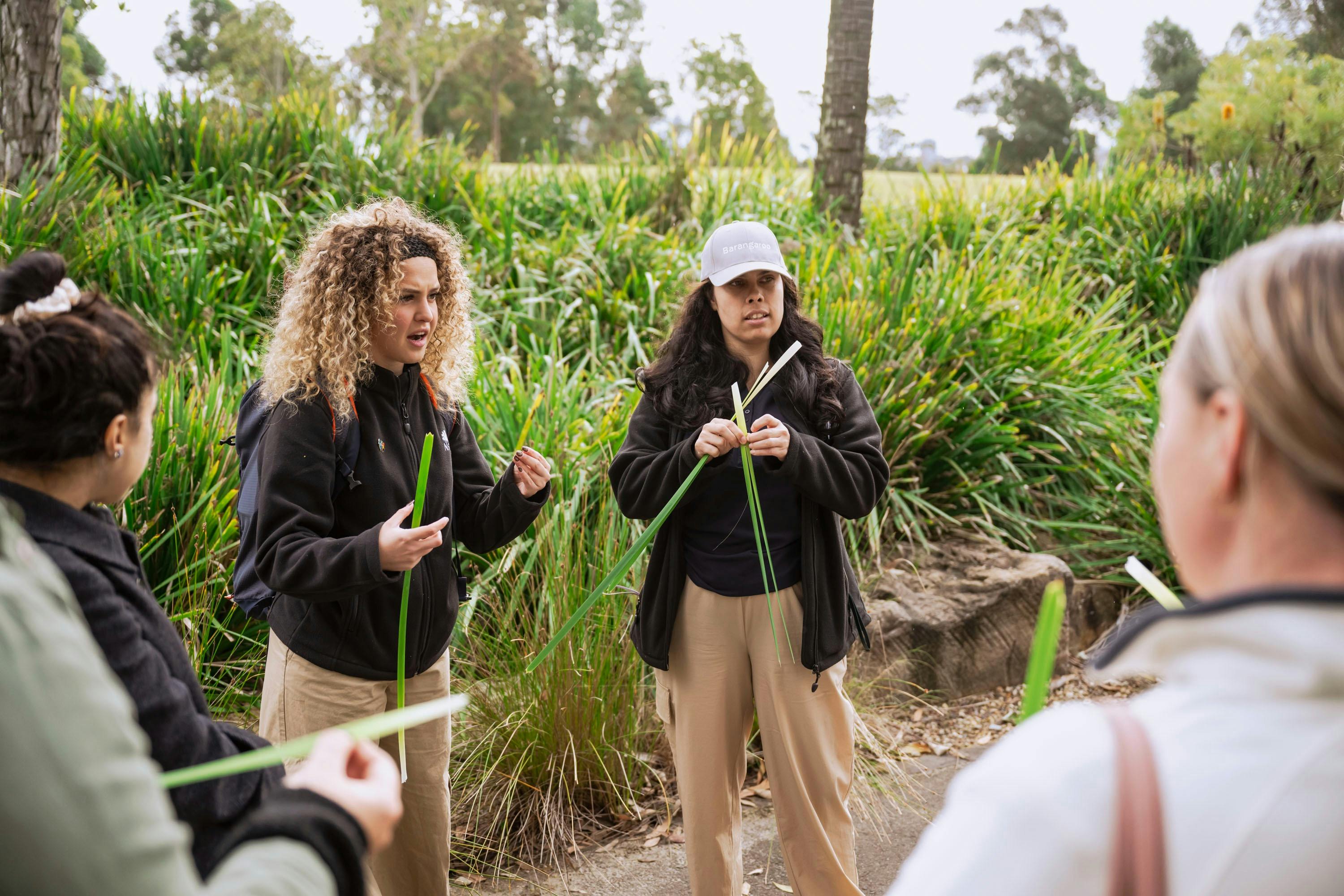 Barangaroo Aboriginal Cultural Tours | Sydney, Australia - Official ...