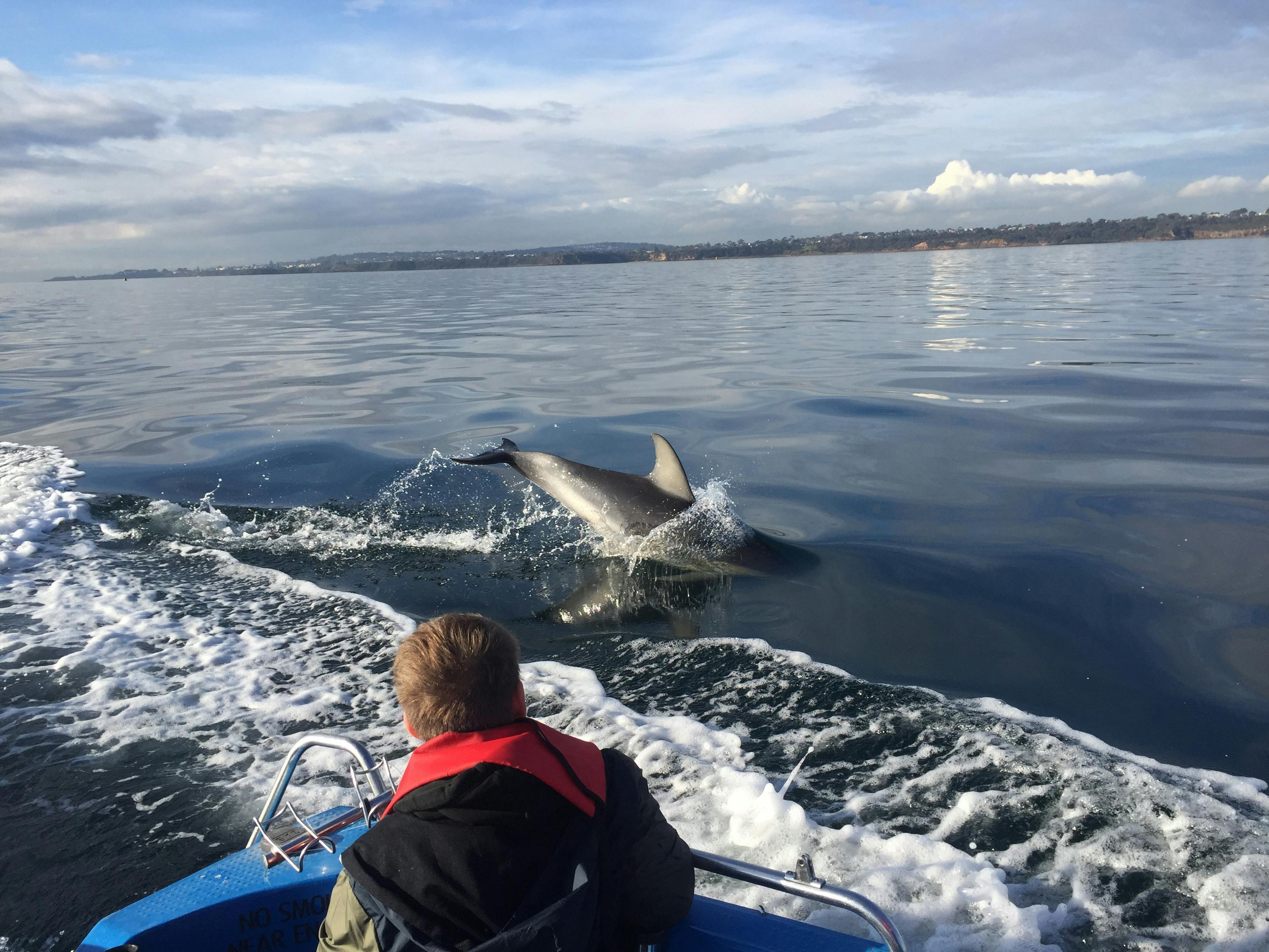 Water Activities — Visit Mornington Peninsula.