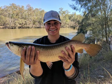 Visit Outback Queensland - Things to Do and Planning Your Trip | Queensland