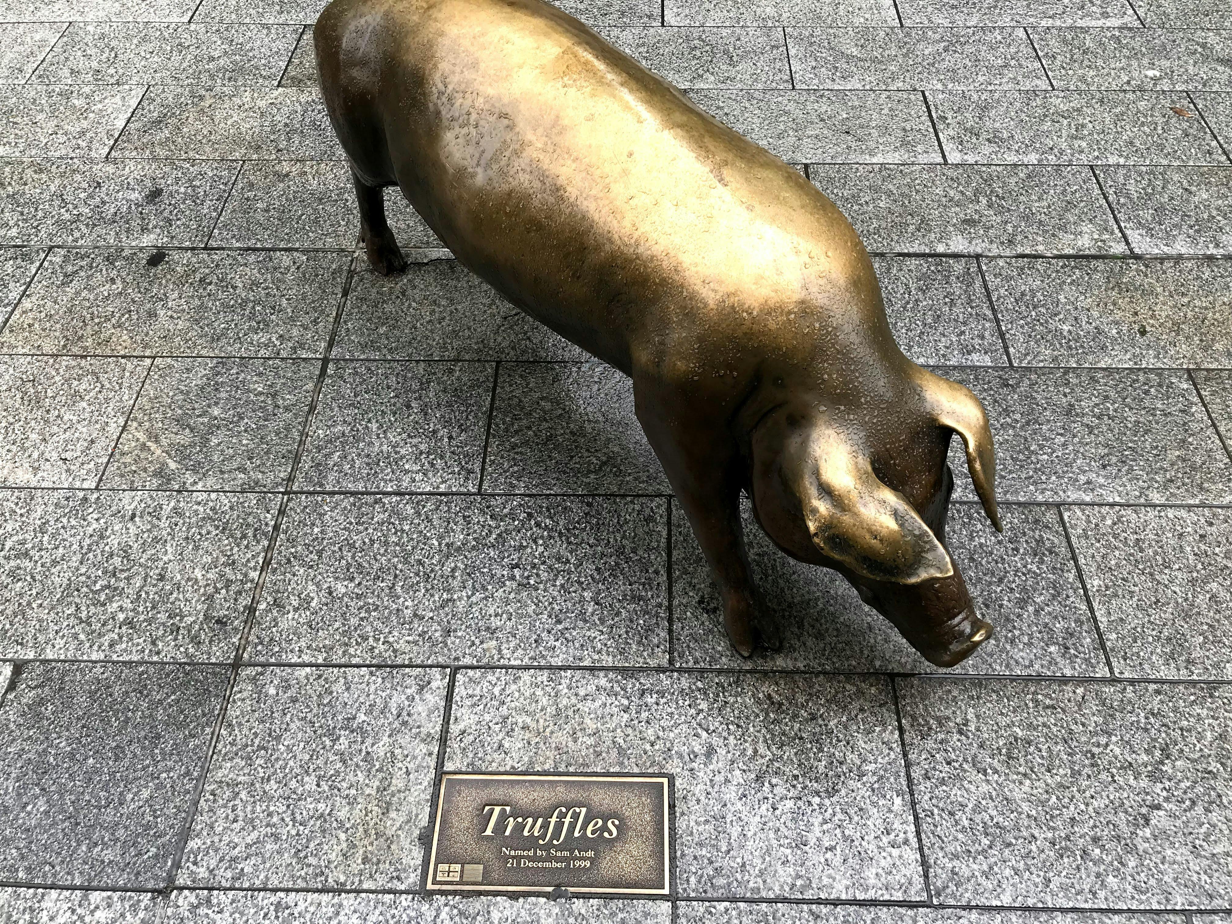 Experience Adelaide | Trixity Trails Adelaide