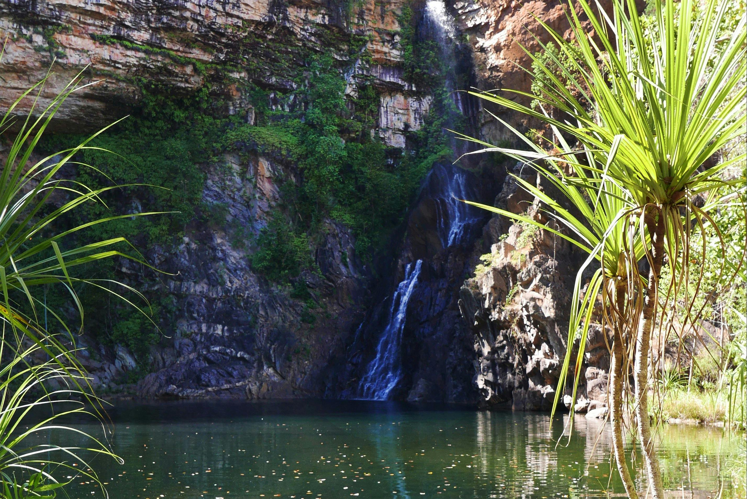 Tjaynera Falls (Sandy Creek) | Things to do in Litchfield National Park