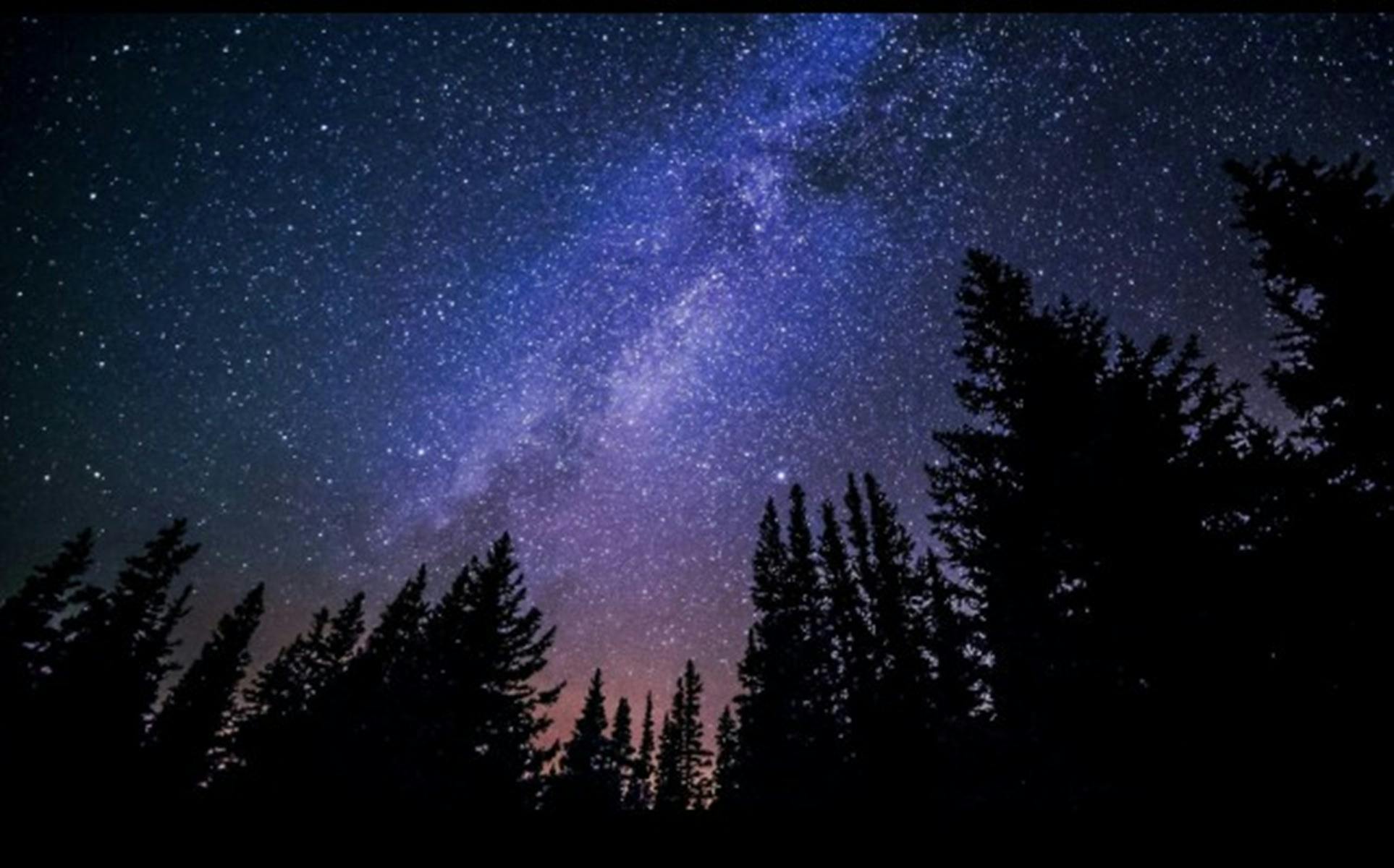 Dark Skies - Dmitri Bouchin with Selena Griffith - The Lyrebird ...