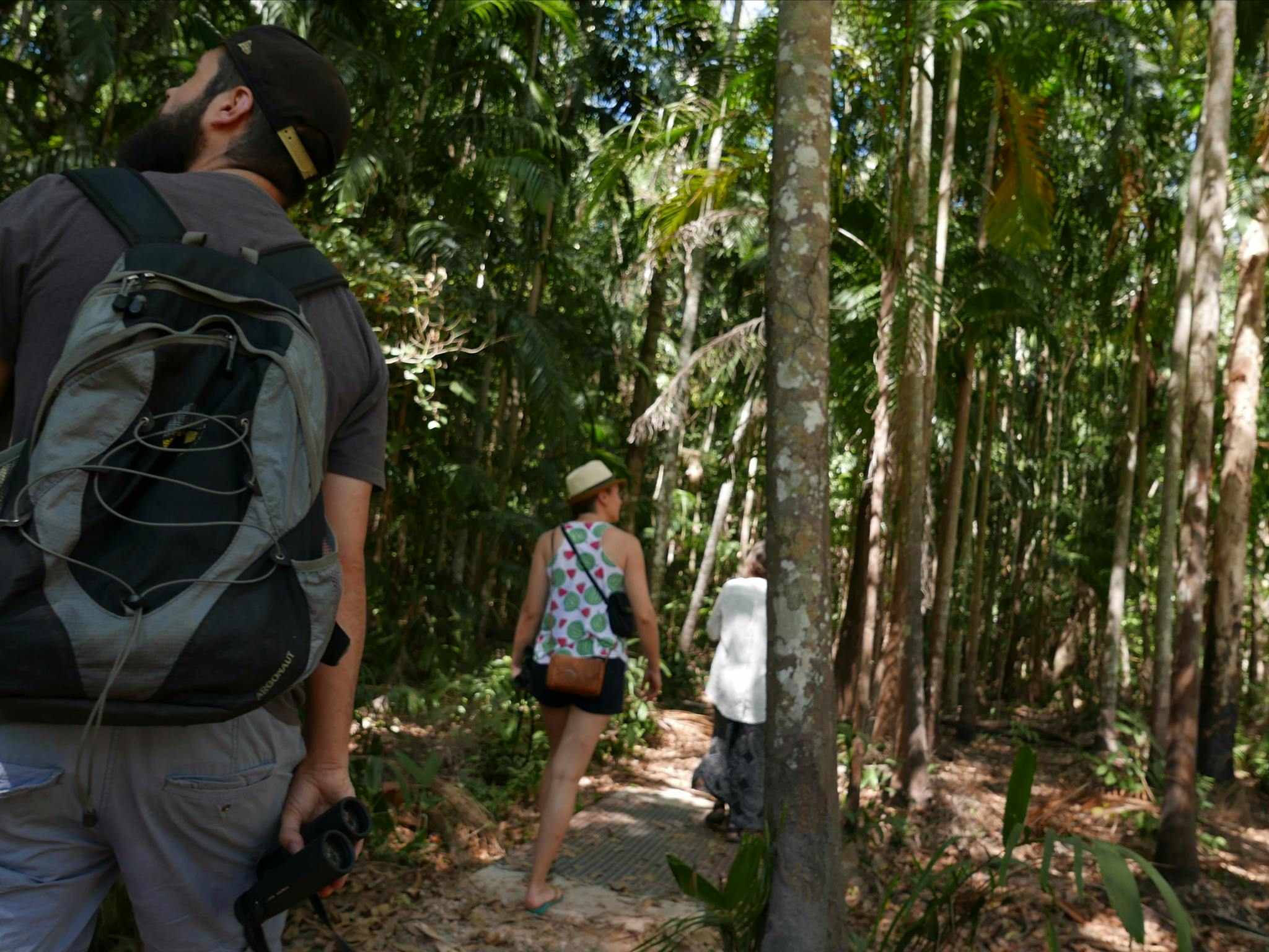 Holmes Jungle Nature Park | Browse and Book Nearby Caravan Parks