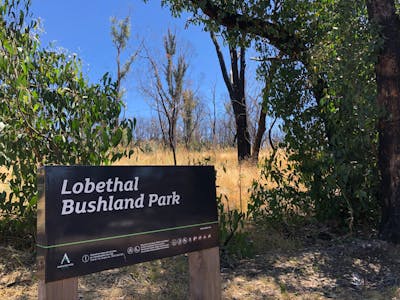 Lobethal Bushland Park | Visit Adelaide Hills