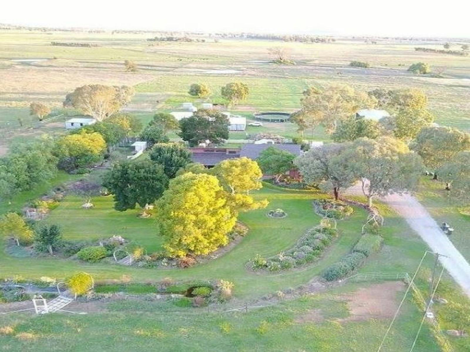 Tamworth Area Accommodation | NSW Holidays & Accommodation, Things to ...