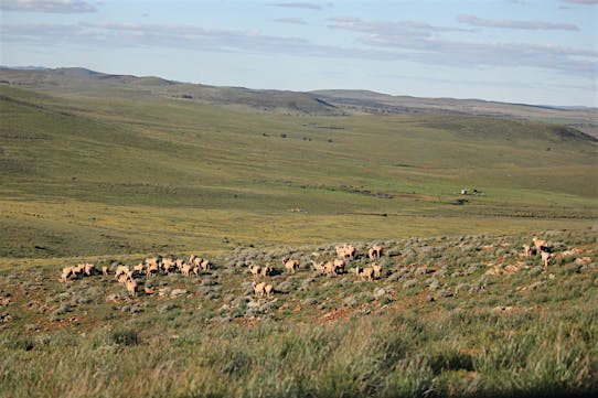 Coonatto Station - Hammond, Accommodation | South Australia
