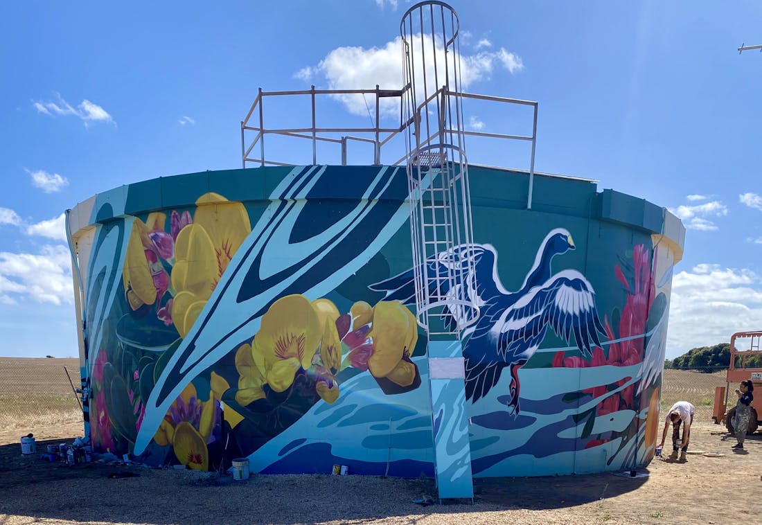 Coobowie Water Tank Mural - Coobowie, Attraction