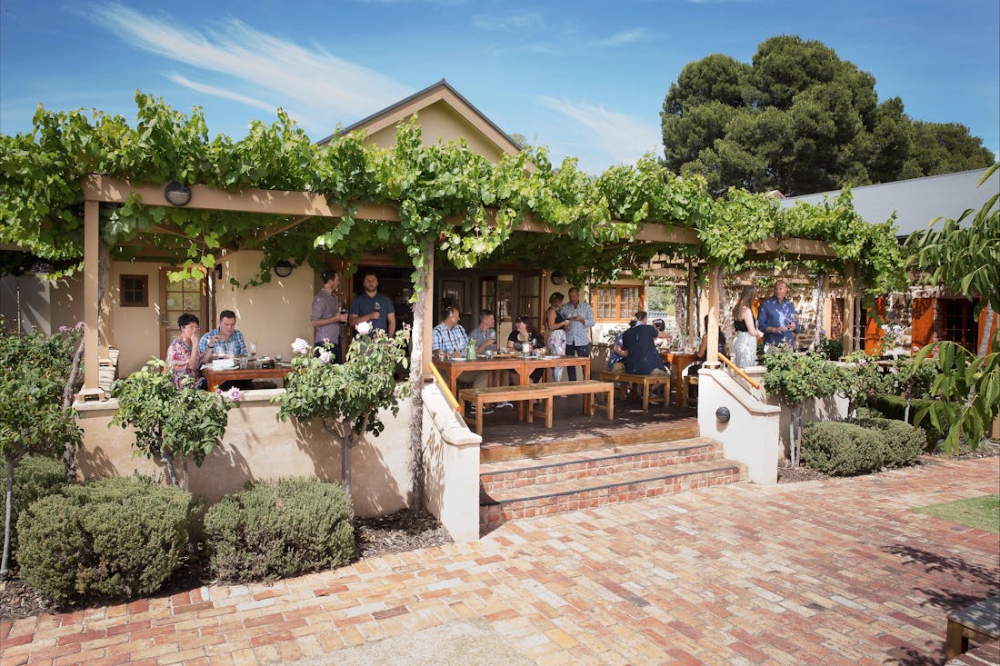 Murray Street Vineyards - Greenock, Food and Drink | South Australia