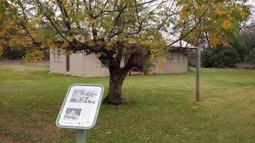 Windorah Caravan Park | Accommodation | Queensland