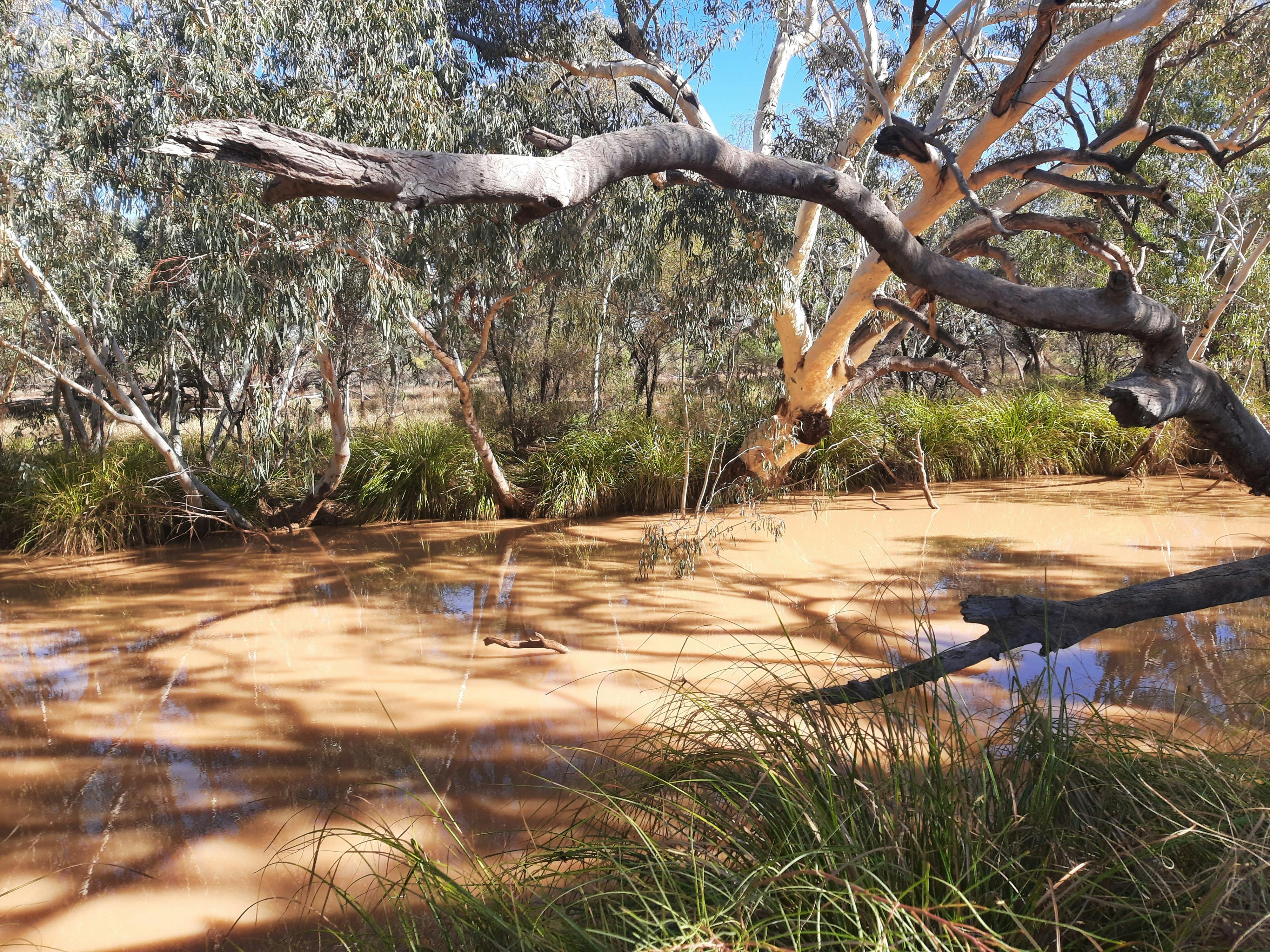 Alroy Station | Accommodation | Queensland