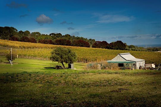 Coast to Vines Rail Trail - Willunga, Attraction | South Australia