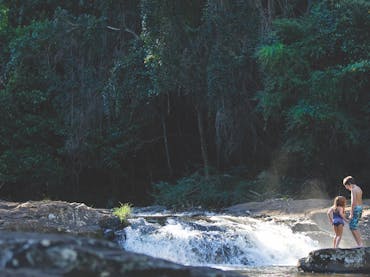 Booloumba Falls Walk Conondale National Park | Journeys | Queensland