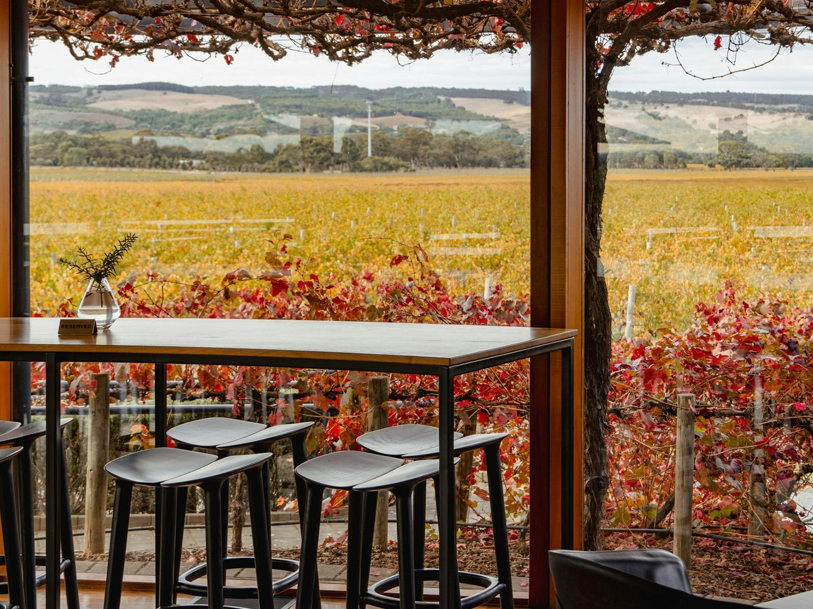 Hugh Hamilton Wines | McLaren Vale