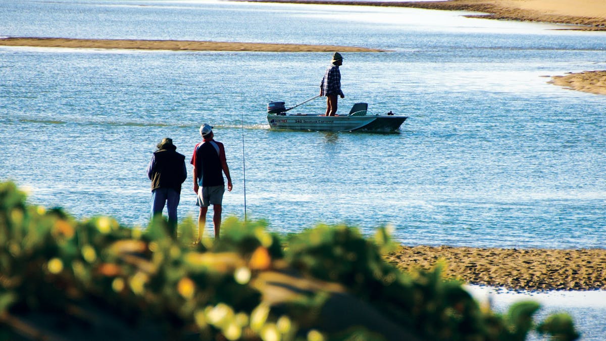 Ayr | Destination-information | Queensland
