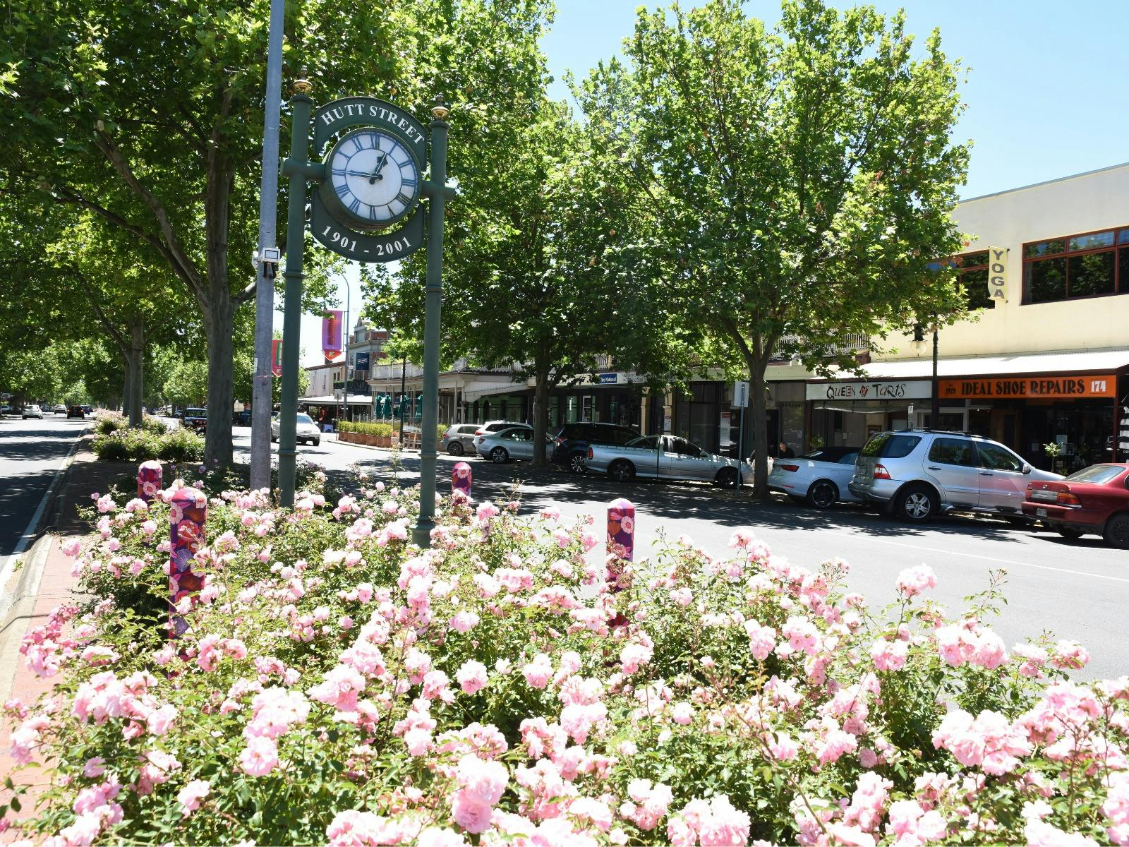 Experience Adelaide | Hutt Street