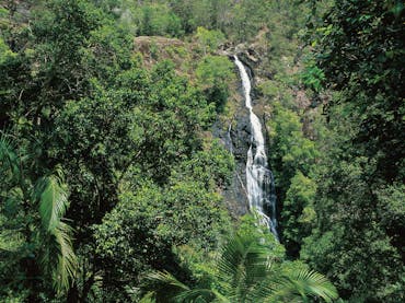 Booloumba Falls Walk Conondale National Park | Journeys | Queensland