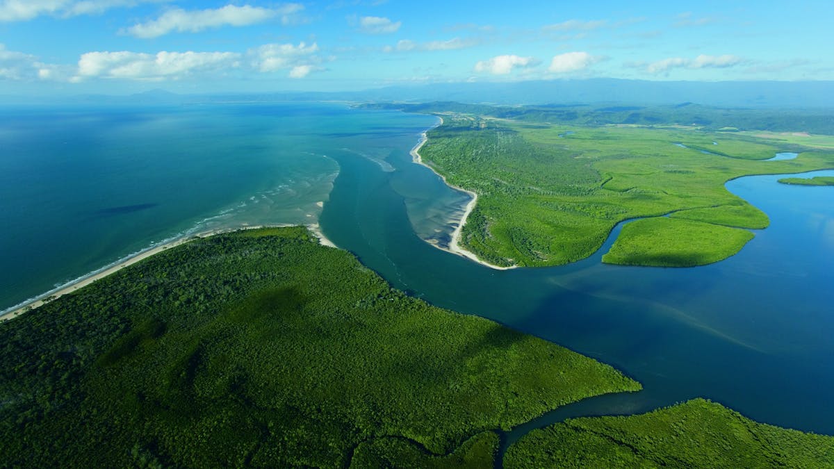 Daintree Rainforest | Destination-information | Queensland