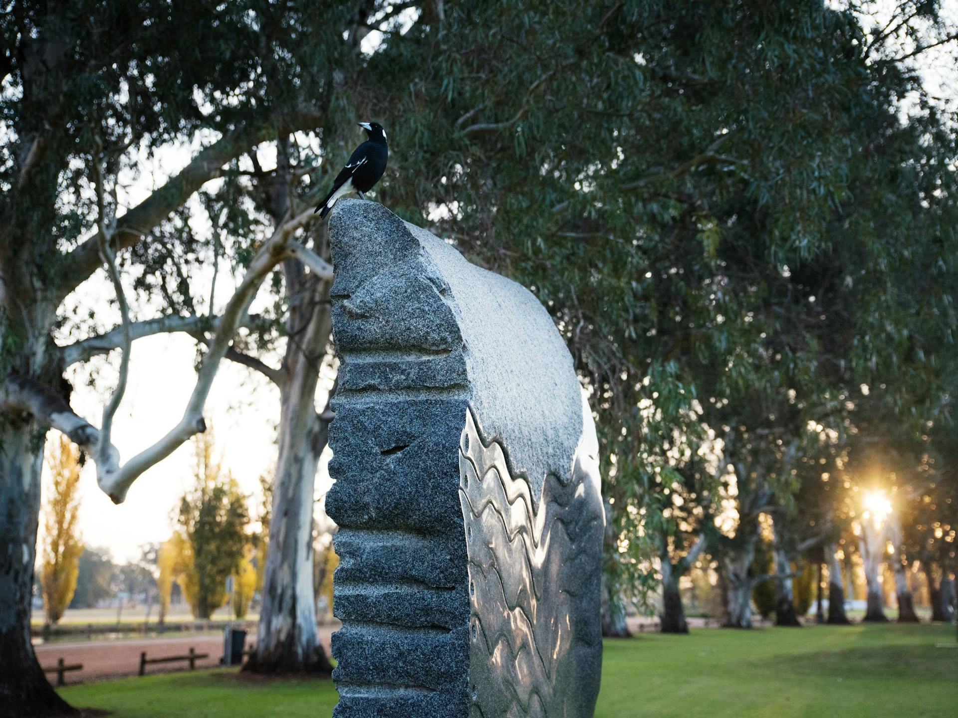 Griffith Centenary Sculptures in Griffith - The Fold: Your Guide to ...
