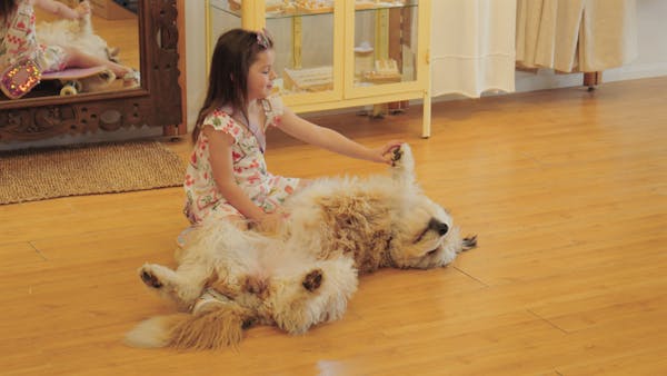 Natural Necessity Surf Shop - Destination Kiama